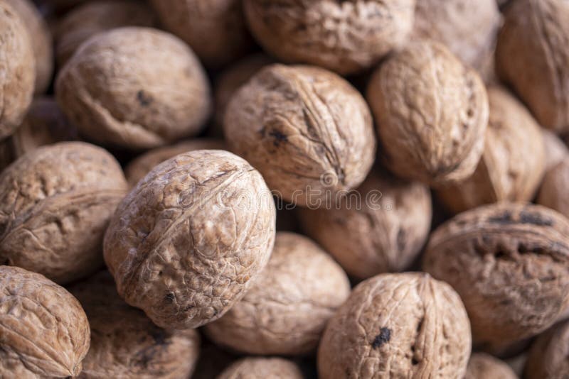 Walnuts in Shell, Walnut Hock, Cracked Walnuts, Close-up. Stock Photo ...