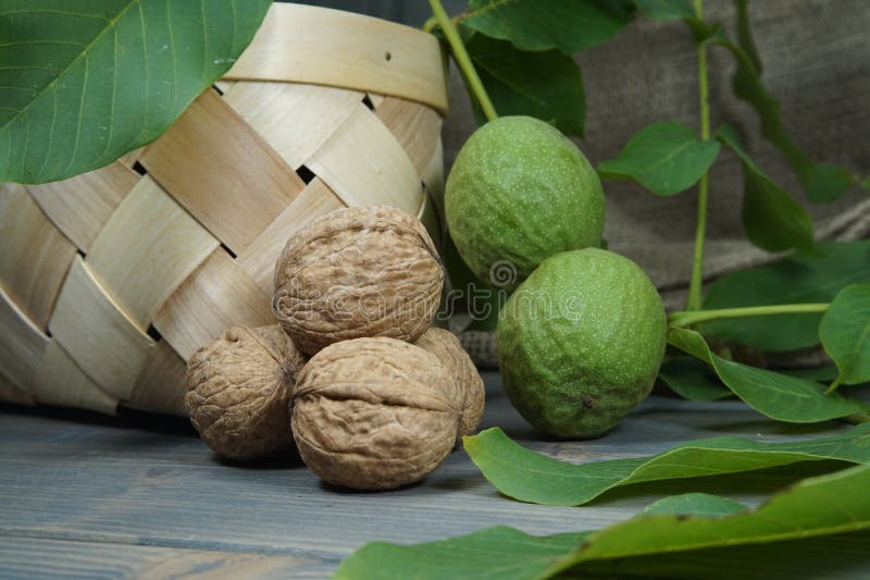 Walnuts in Shells and Husks on a Table Stock Image - Image of nutrition ...