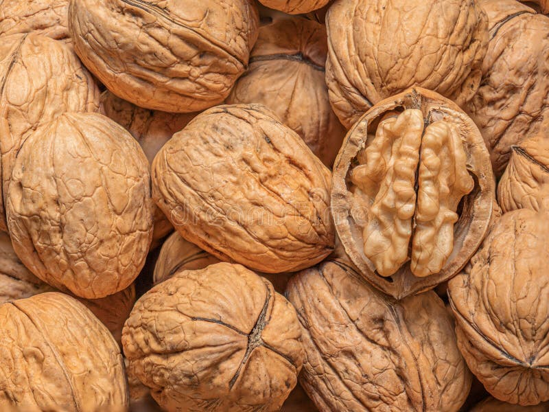 Walnuts with and without Shells Top View. Walnut Background Close Up ...