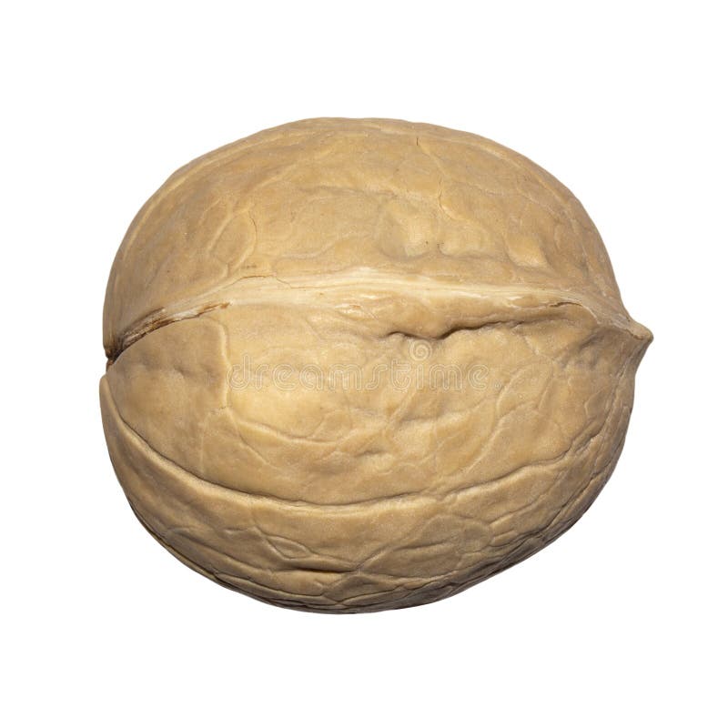 Walnuts with Shells Top View.Walnut Background Close-up.Whole Walnuts ...