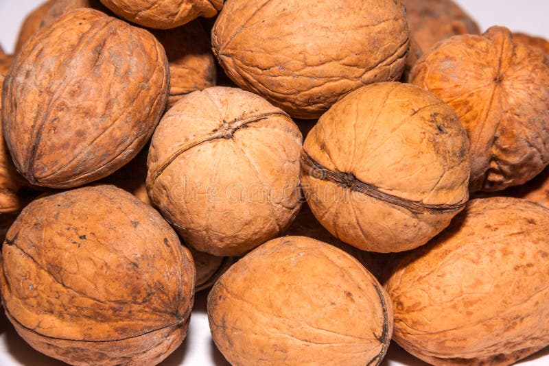 Walnuts in shells stock photo. Image of nutrition, lumber - 112065584