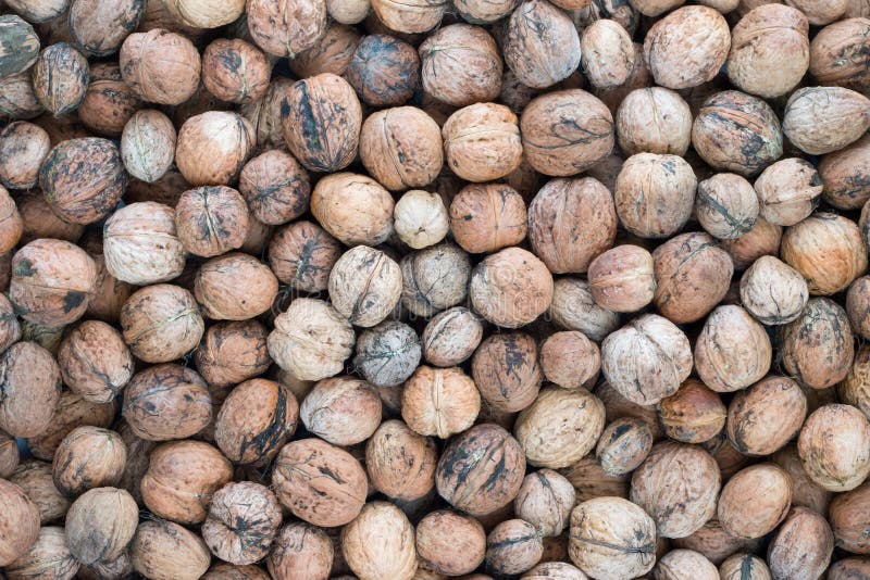 Walnuts stock photo. Image of abstraction, backdrop, background - 76825346