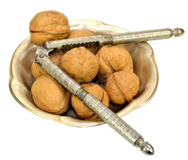 Walnuts stock image. Image of tasty, small, fresh, healthy - 32607043
