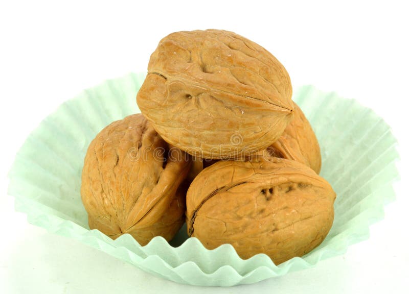 Walnuts stock photo. Image of tasty, shell, walnuts, small - 32643568