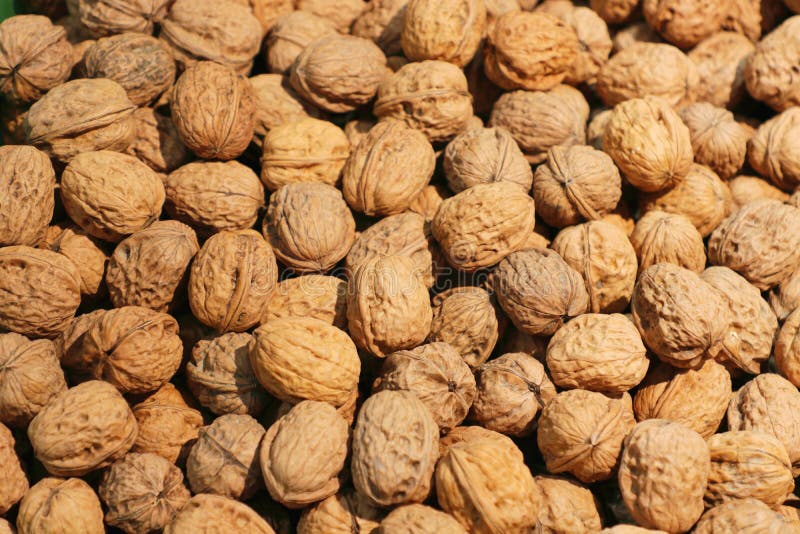 Walnuts Sold at the Fruit Market Stock Image - Image of ingredient ...