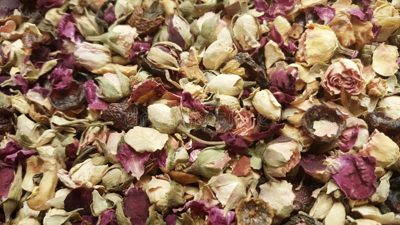 Walnuts Sold in Spice Market at Turkey Stock Photo - Image of nature ... Walnuts Sold in Spice Market at Turkey Stock Photo - Image of nature ...