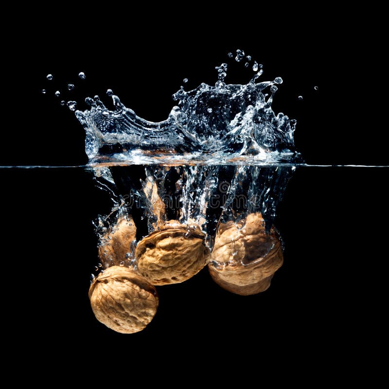 Walnuts splash stock image. Image of life, walnuts, study - 81867779