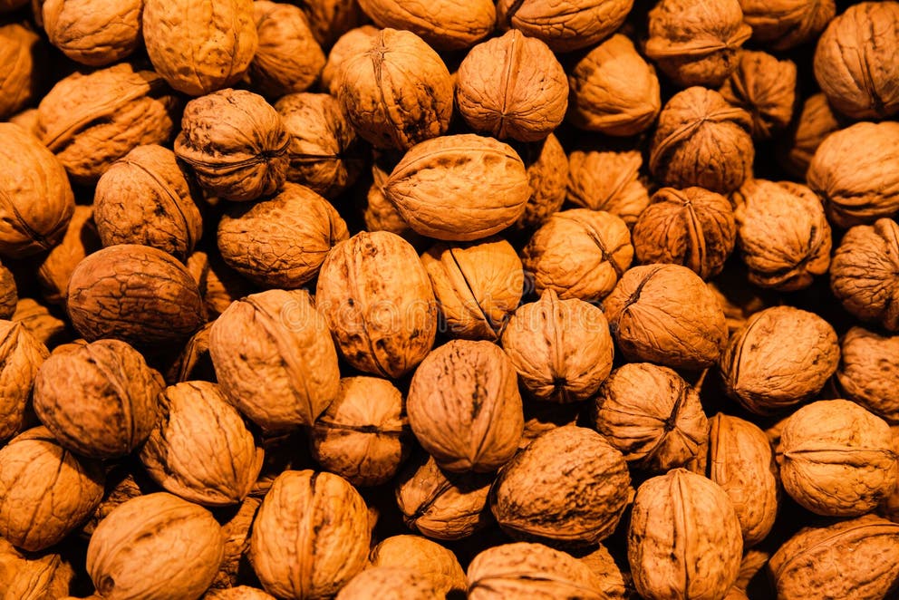 Walnuts on store shelves stock image. Image of supermarket - 64078013