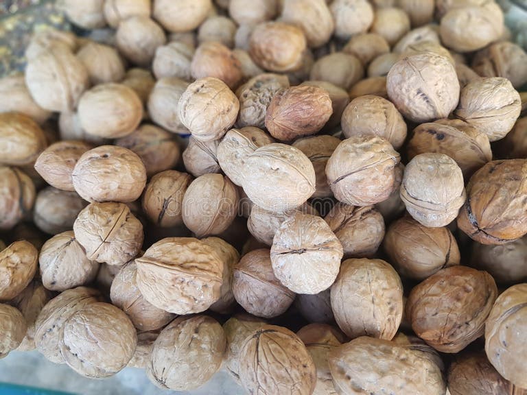 Walnuts/ Types of Edible Nut Tree Which Produces these Nuts Stock Photo ...