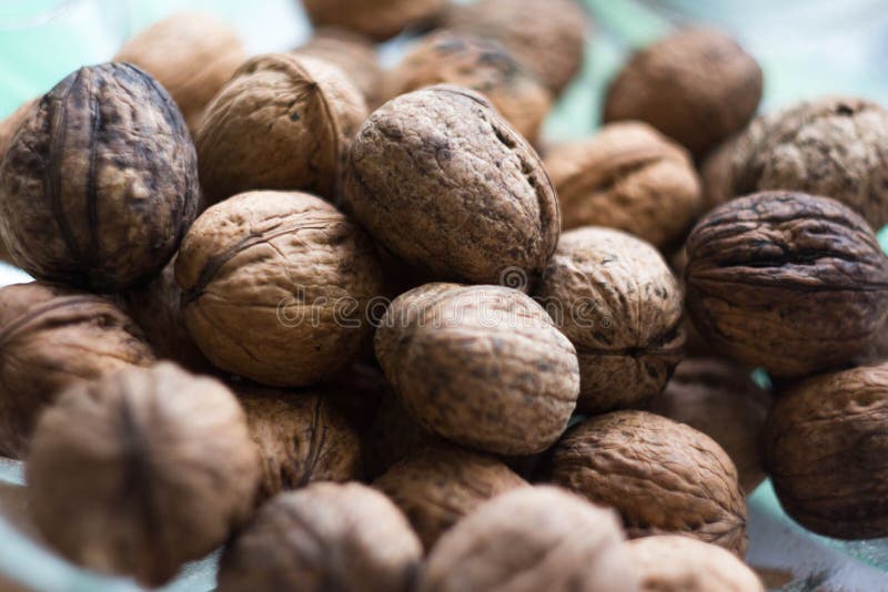 Walnuts up close stock image. Image of walnut, fruit - 147393785