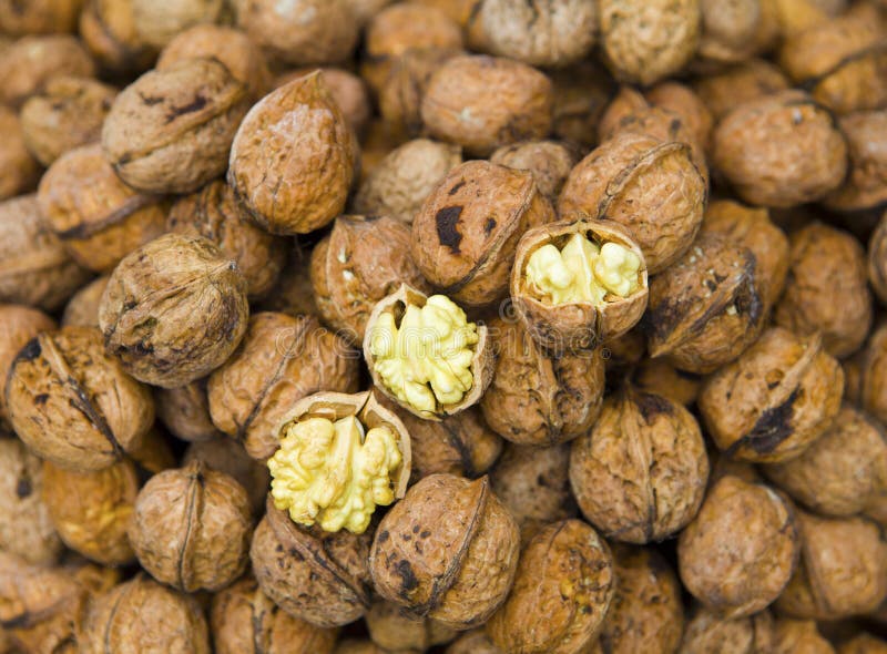Walnuts stock photo. Image of healthy, diet, background - 34970554