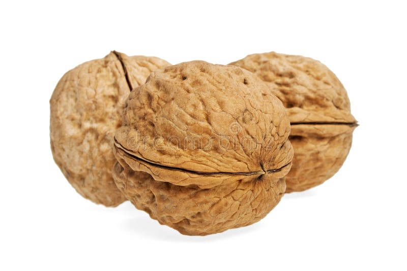 Walnuts on a White Background Stock Photo - Image of hard, white: 166472696