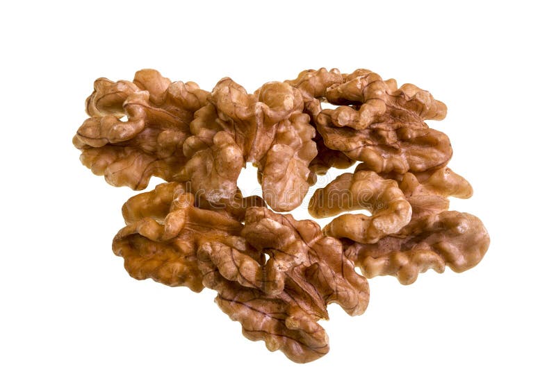 Walnuts on White Background Stock Photo - Image of food, dish: 256083680