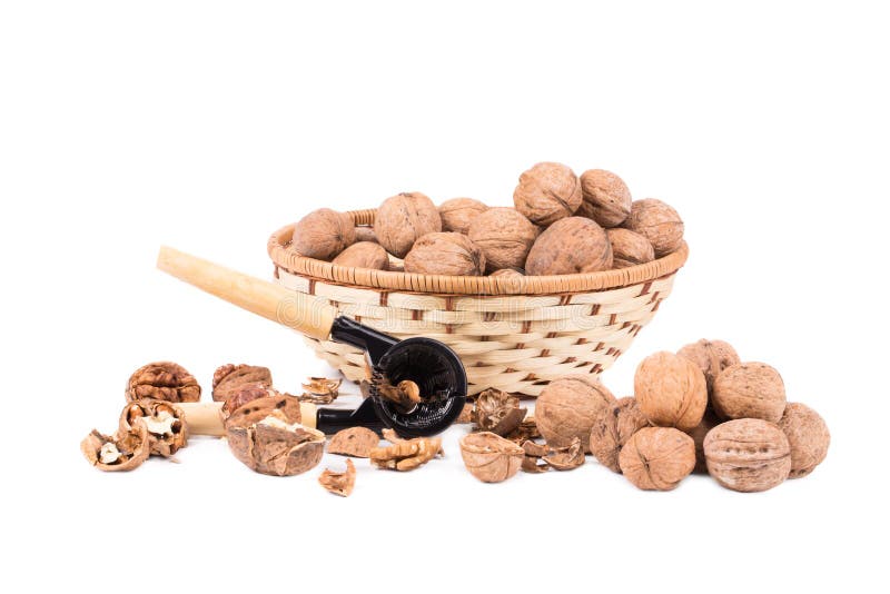 Nutcracker and walnut stock photo. Image of diet, concept - 38560176