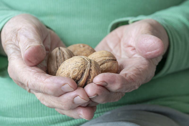 Walnuts on Wrinkled Palm of a Senior Person Stock Photo - Image of male ...