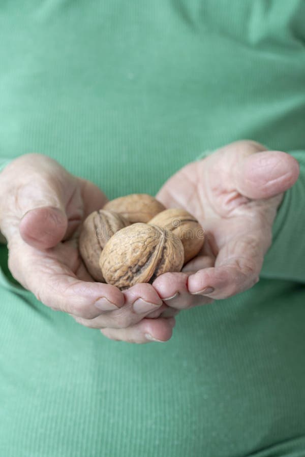 Walnuts on Wrinkled Palm of a Senior Person Stock Photo - Image of ...