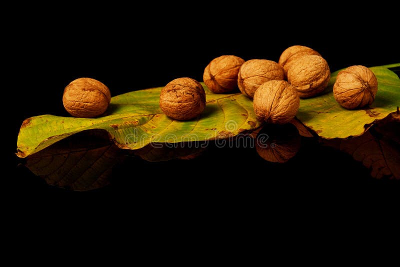 Walnuts with Yellow Autumn Leaves Isolated on Black Background Stock ...