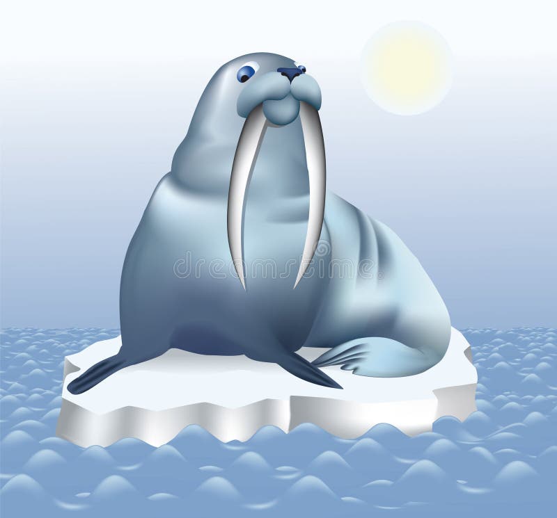 Cute walrus cartoon on ice stock vector. Illustration of float - 31345020