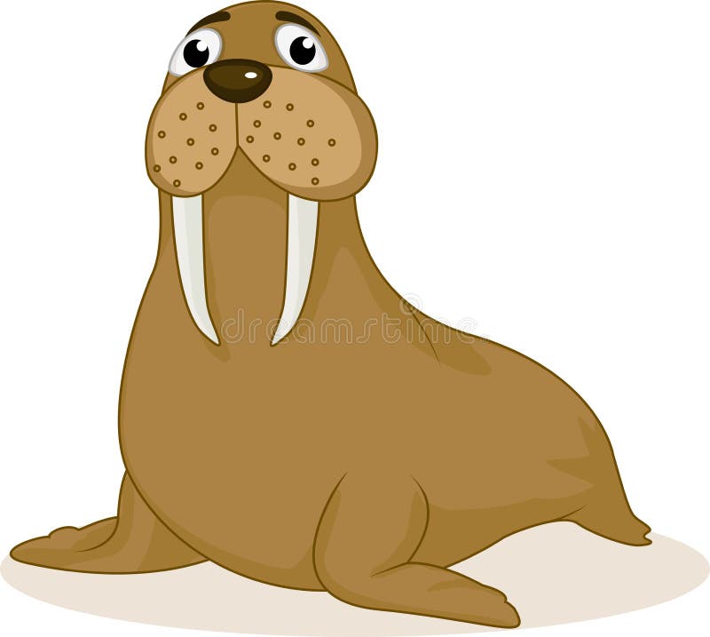Walrus cartoon stock vector. Illustration of teeth, arctic - 25097765