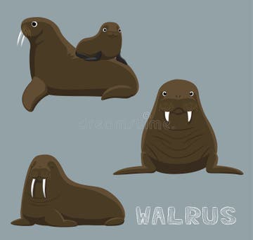Walrus Cartoon Stock Illustrations – 3,634 Walrus Cartoon Stock ...