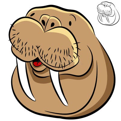 Walrus Face Stock Illustrations – 982 Walrus Face Stock Illustrations ...