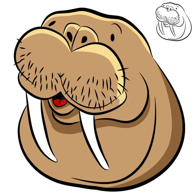 Walrus Face Stock Illustrations – 483 Walrus Face Stock Illustrations ...