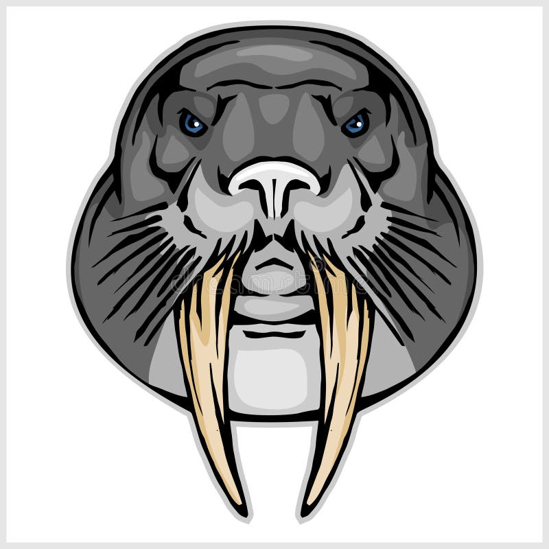 Walrus head mascot stock vector. Illustration of odobenus - 89732103