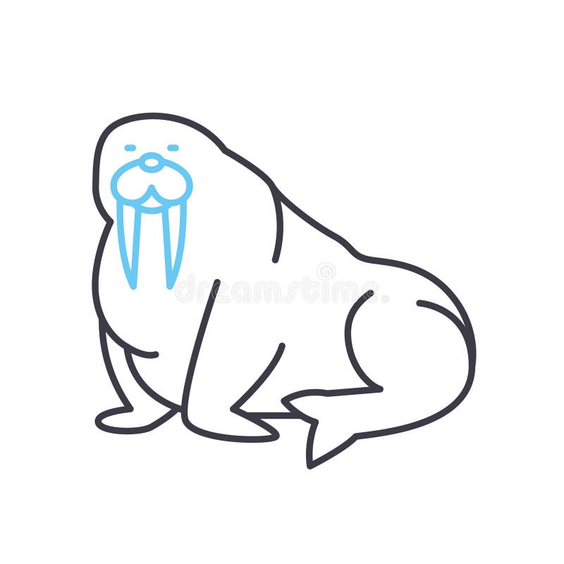 Walrus Line Icon, Outline Symbol, Vector Illustration, Concept Sign ...