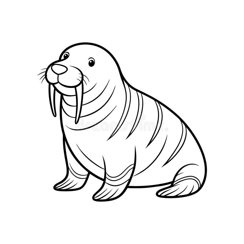 Walrus Outline Coloring Animal Illustration Stock Illustration - Illustration of coloring, water ...