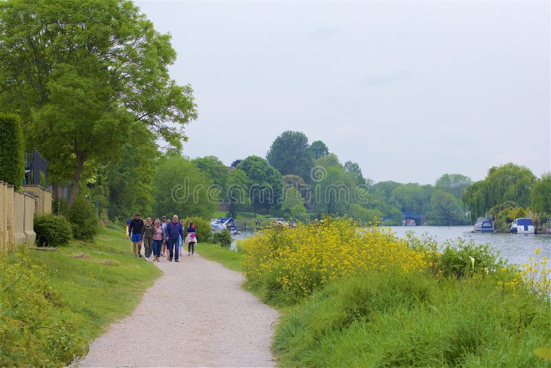 Walton-on Thames, England editorial photo. Image of forest - 148081276