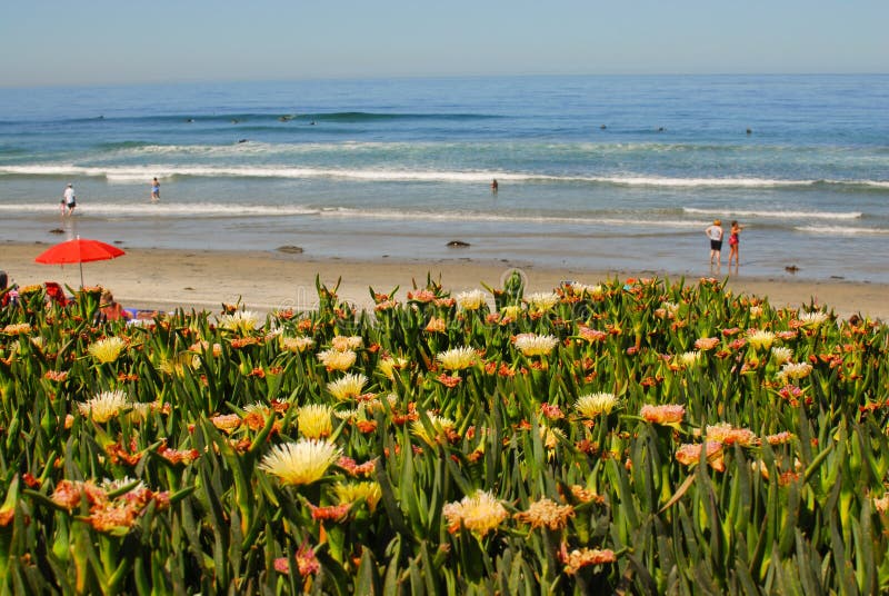 Walzing Along in Del Mar, California II Stock Photo - Image of pacific ...