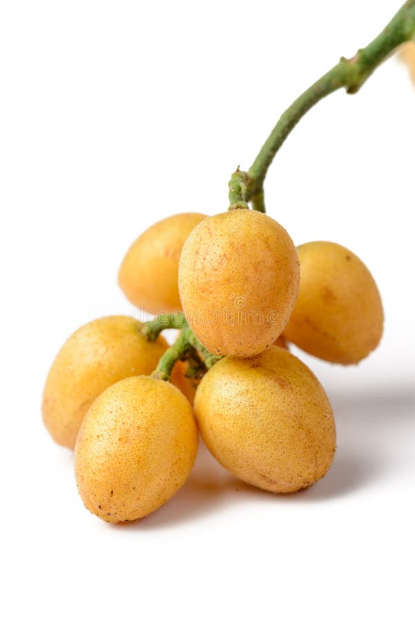 Wampee fruit stock photo. Image of isolated, wimpy, white - 56303450