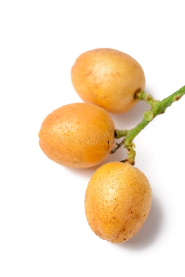 319 Wimpy Photos - Free & Royalty-Free Stock Photos from Dreamstime