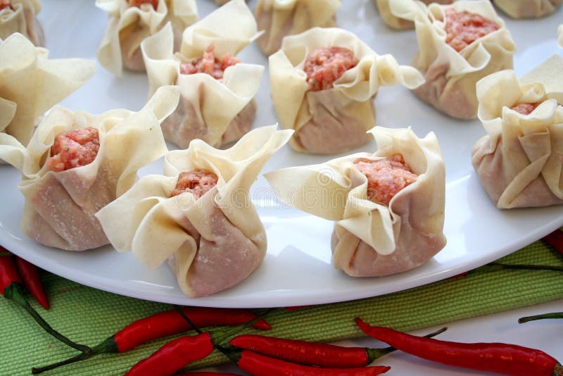 Wan tan stock image. Image of asian, dimsum, wantan, meat - 6304195