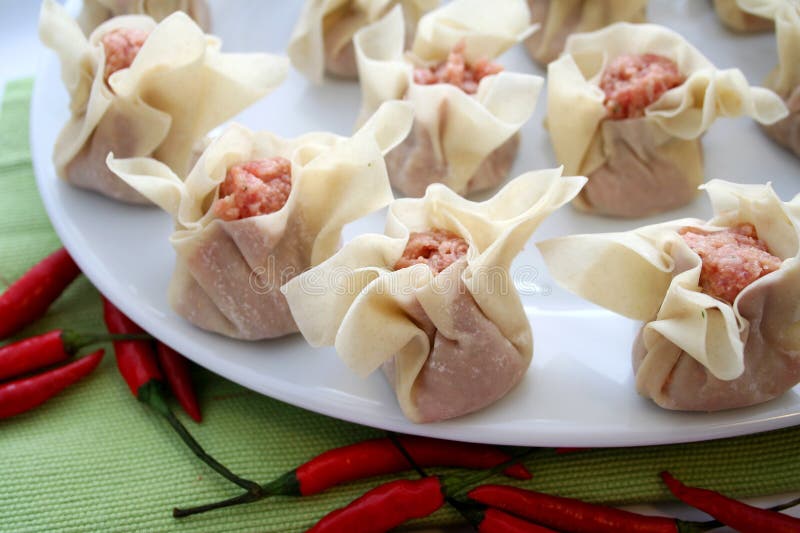 Wan tan stock image. Image of meal, wantan, thai, chinese - 6304179