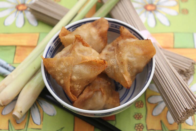 Wan Tan stock photo. Image of dumplings, snack, meat - 99009446