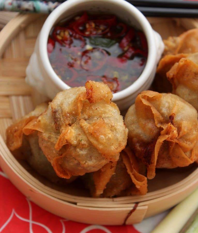 Wan Tans stock photo. Image of meat, dumpling, filled - 93578736