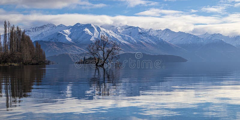 The Wanaka tree stock image. Image of lake, tree, snow - 151433001