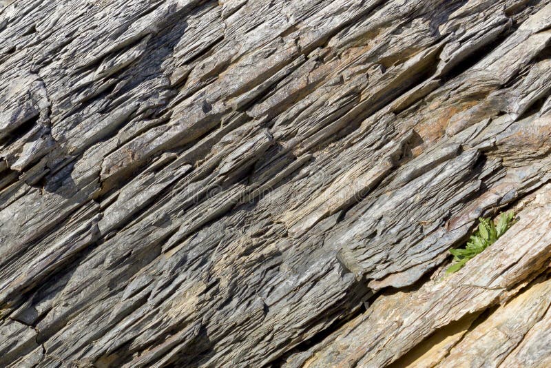Metamorpher Gestein Gefunden In CInque Terre Stockbild - Bild von ...