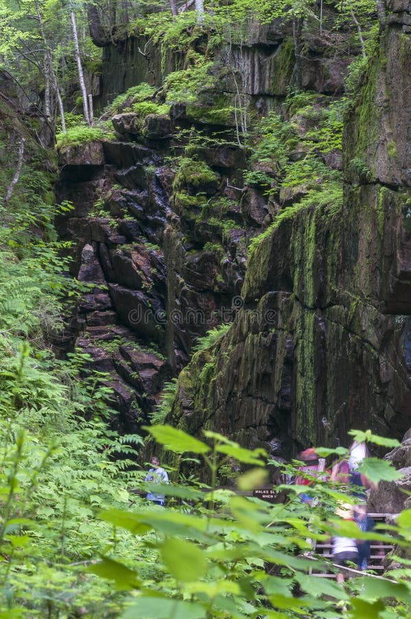 Diep, nat ravijn stock afbeelding. Image of ravijn, park - 122954123