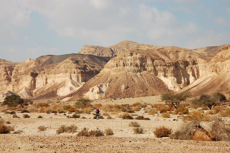 Wandelend in Negev Woestijn, Israël. Stock Foto - Image of negev ...