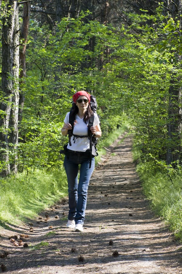 Wanderer im Wald stockbild. Bild von draussen, eignung - 5209041