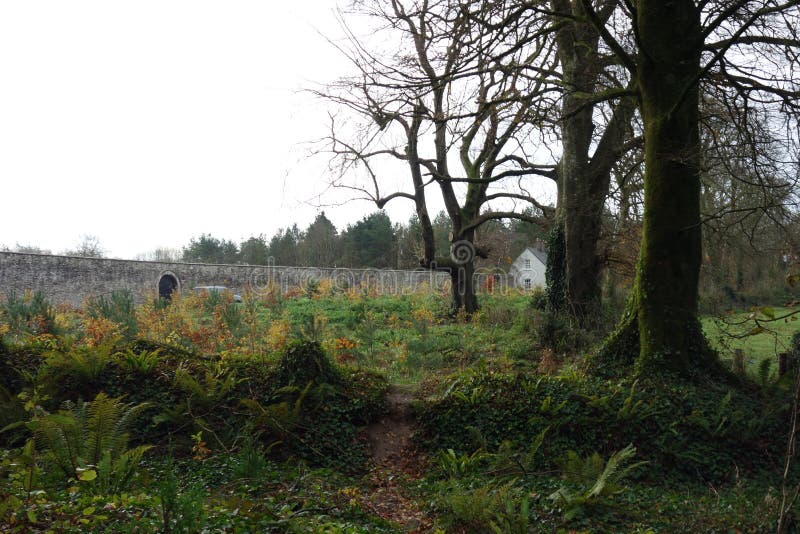 Wandering through the Fields and Trees Stock Image - Image of green ...