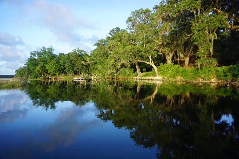 Wando River, SC stock photo. Image of view, wando, carolina - 54807808