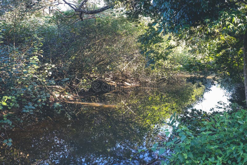 Wang Tong River Deep in Mountain, Hk 29 Nov 2022 Stock Photo - Image of ...