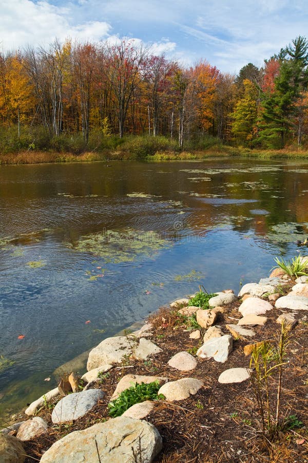 Fall Reflections Picture. Image: 17390715