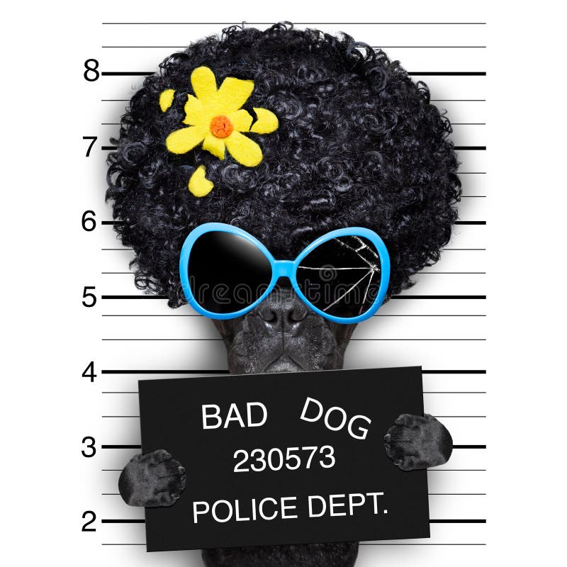 Criminal Mugshot Curly Hair Beard Stock Photos - Free & Royalty-Free ...