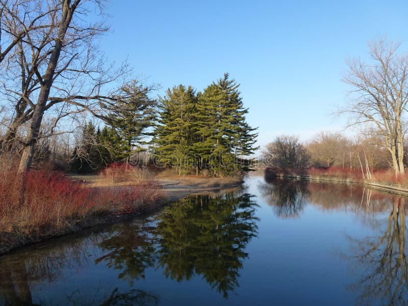 Wards Island stock image. Image of trees, toronto, island - 77277797