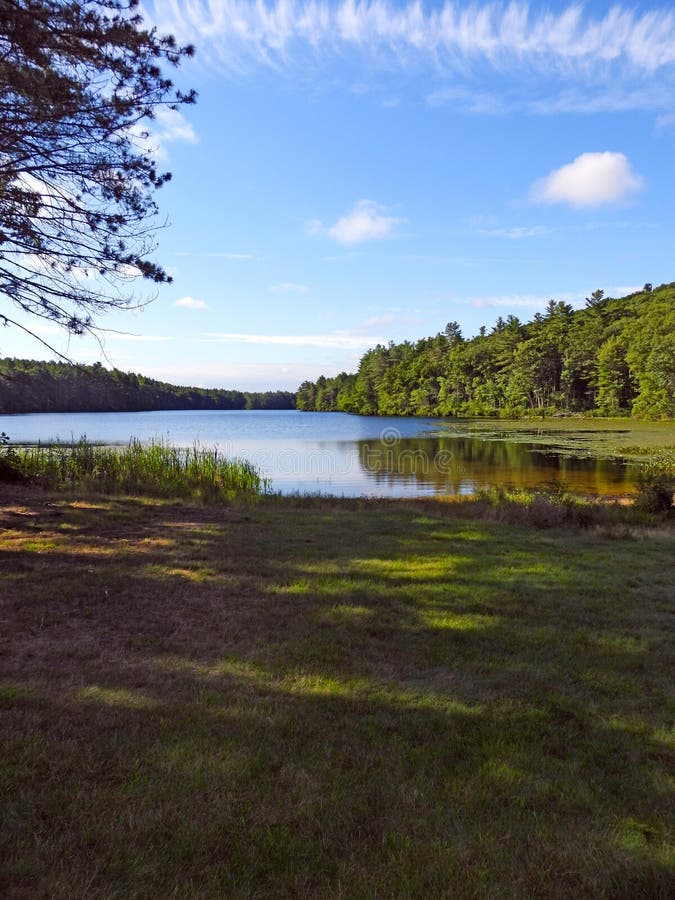 Ware River Watershed Rutland Massachusetts Late Afternoon Sun Stock ...