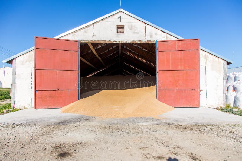 Warehouse For Wheat Grain And Rice Storage. Agriculture Product Storing ...
